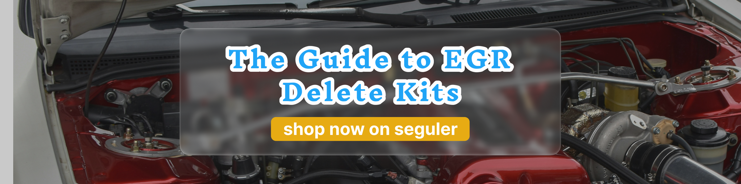 The Ultimate Guide to EGR Delete Kits — SEGULER