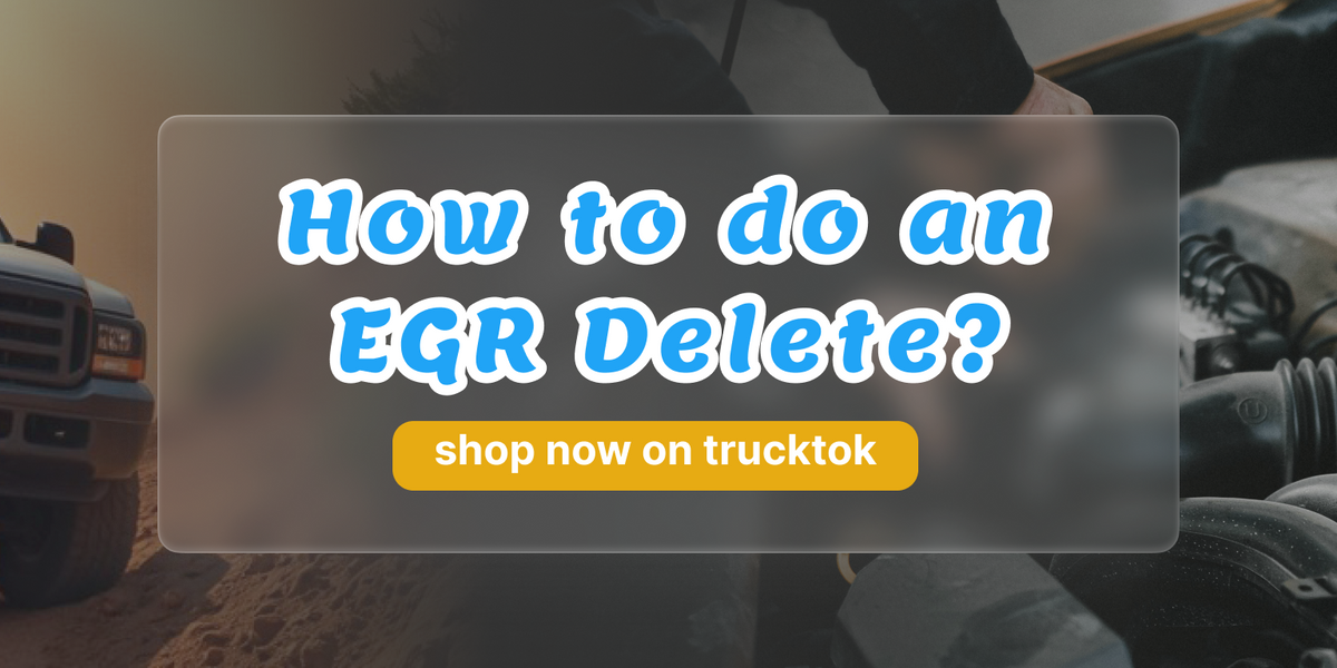 How to do an EGR Delete? — SEGULER