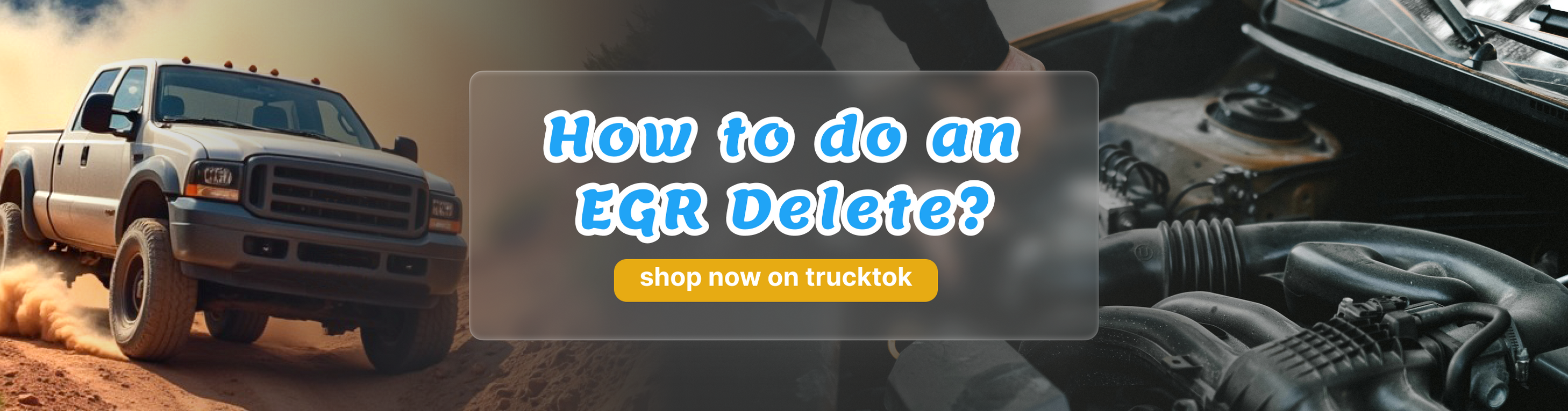 How to do an EGR Delete? — SEGULER
