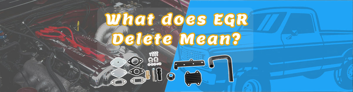 What does EGR Delete Mean? — SEGULER